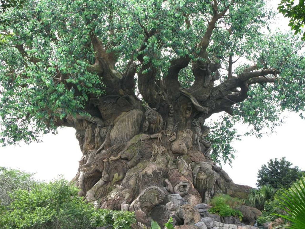 September 11th Survivor Tree: The Meaning of Life - Laura G Owens ...